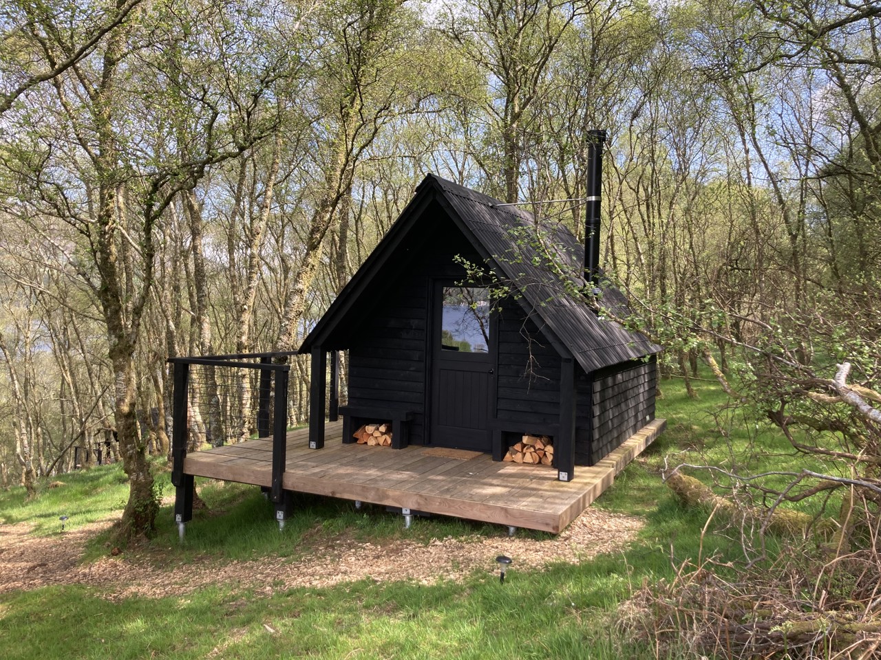 Bute Community Forest | Stories | Be Local
