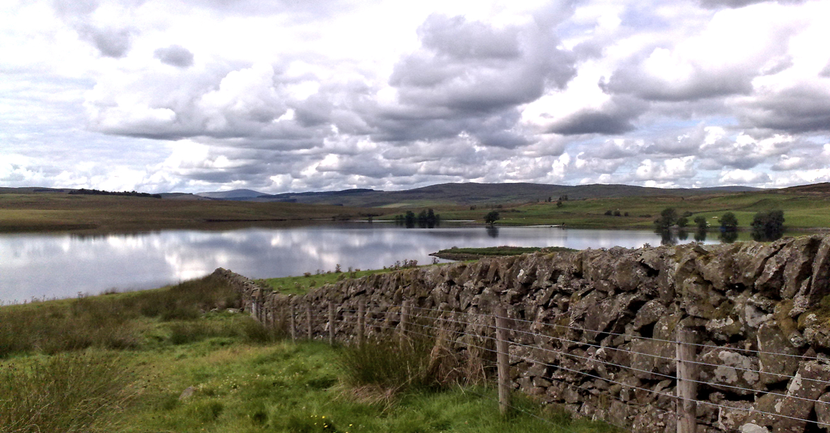 The Hive Moniaive | Stories | Be Local