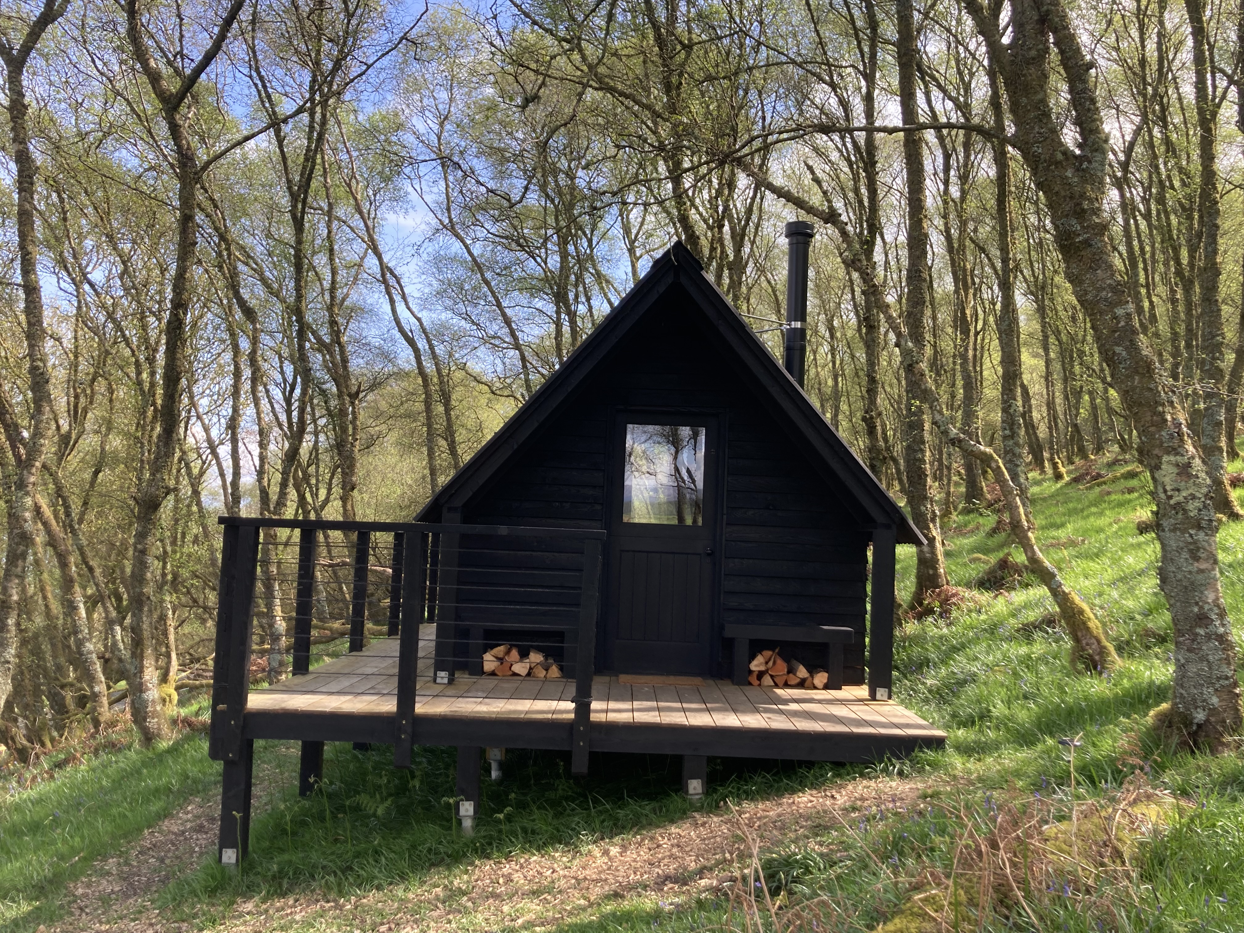 Bute Community Forest | Stories | Be Local